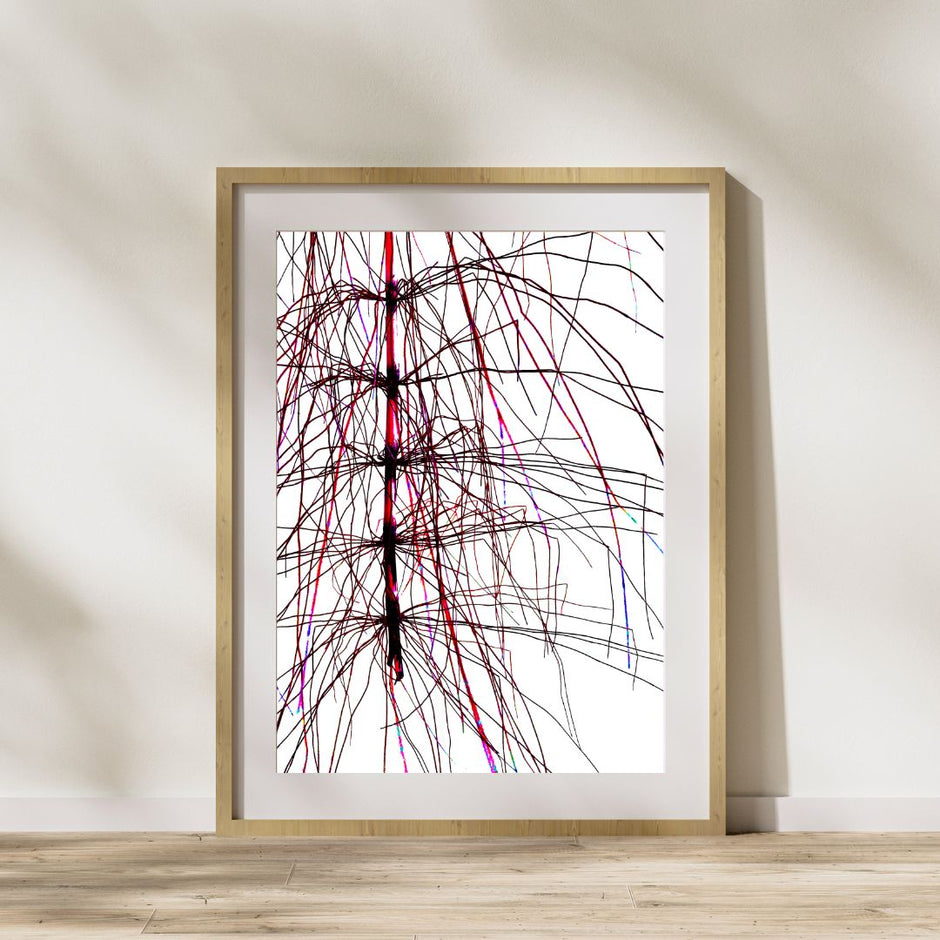 Cool Printable Wall Art for Home | Instant Downloads - Seedpod Prints